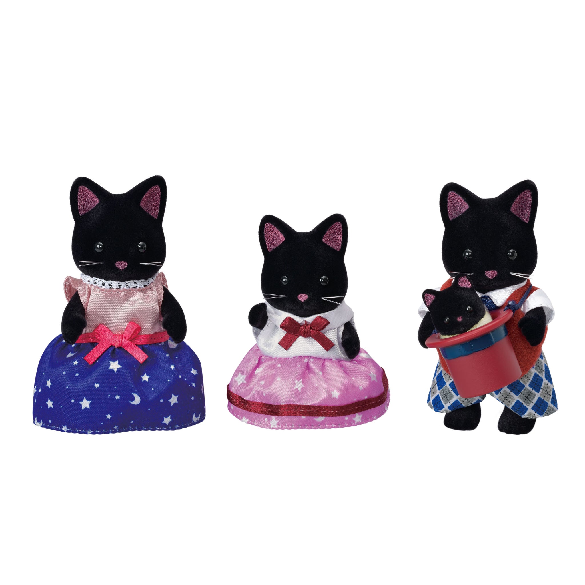 Midnight Cat Family