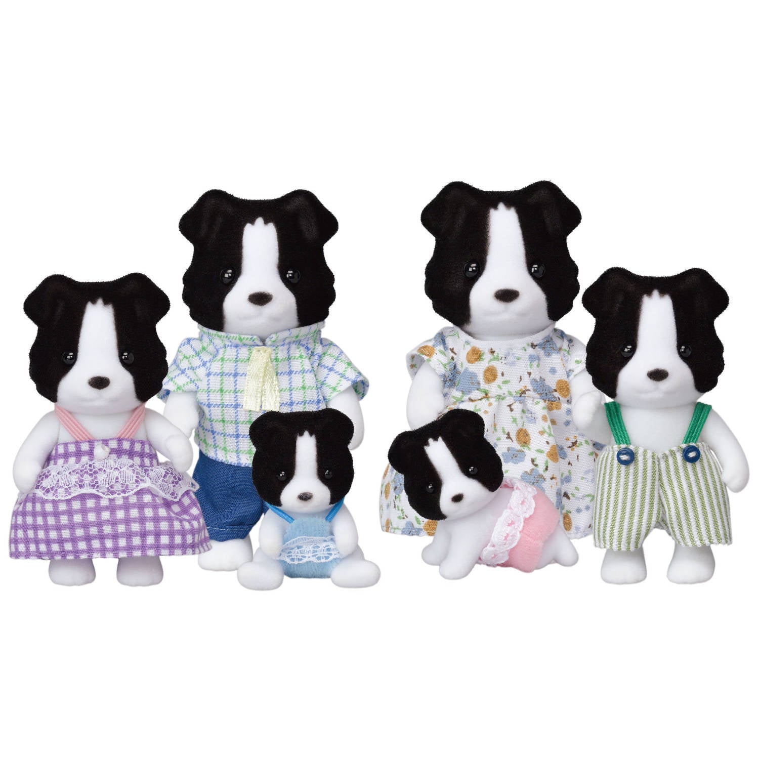 Border Collie Family