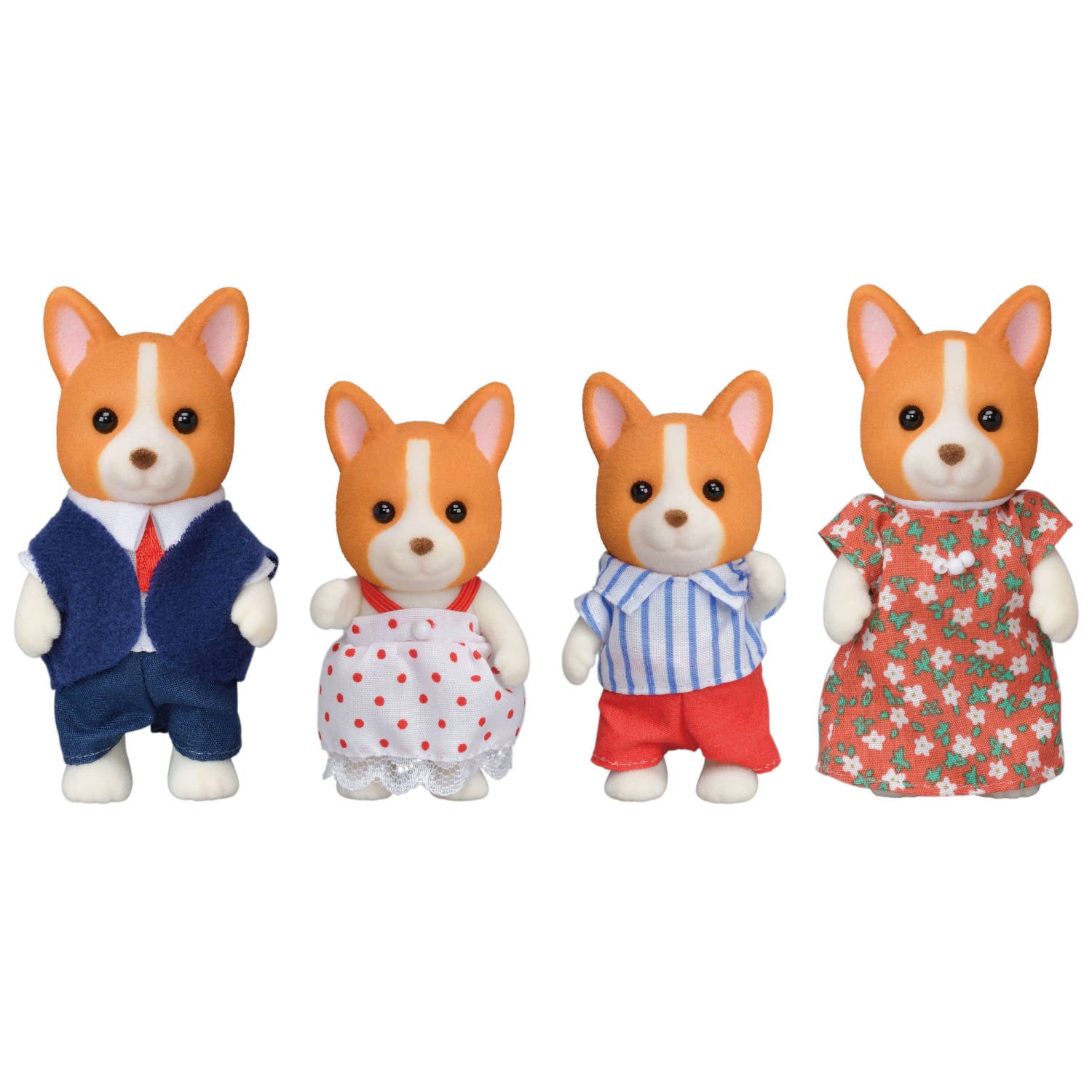 Corgi Family